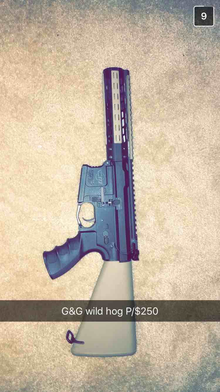 SOLD G and G wild hog | HopUp Airsoft