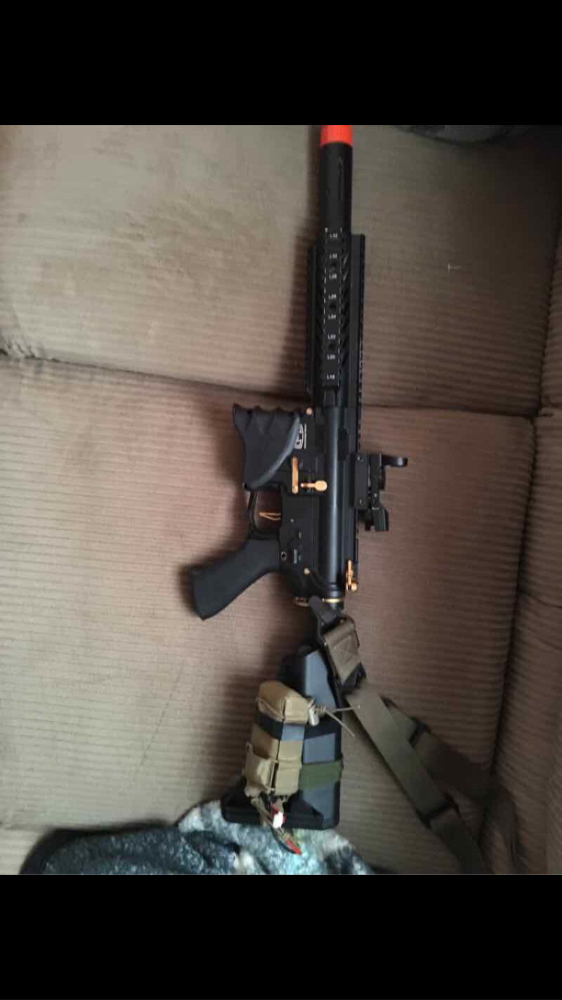 SOLD DSG BTC APS Raptor | HopUp Airsoft