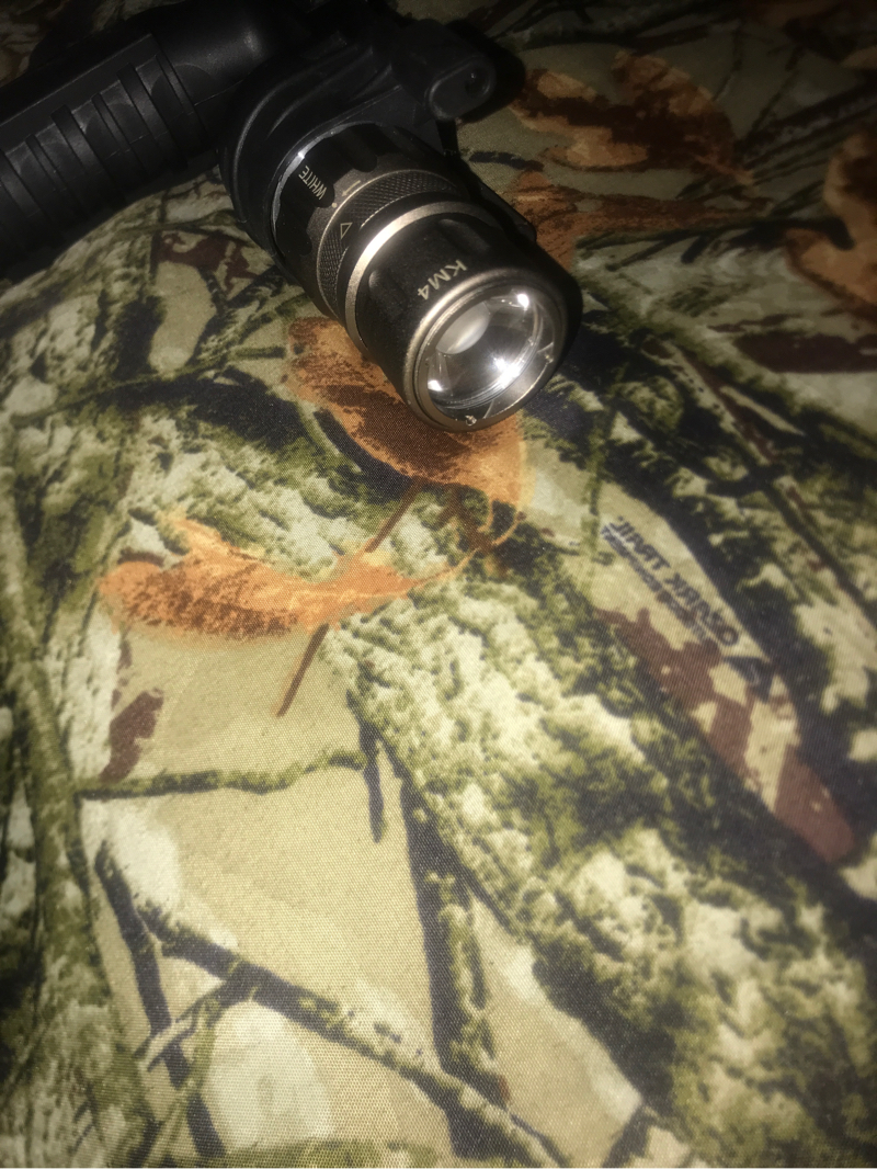 SOLD Night Evolution Grip Light | HopUp Airsoft